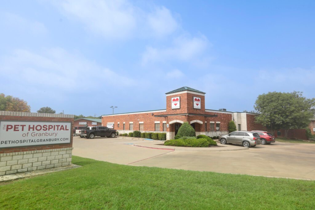 Best Vet Hospital In Granbury, TX | Pet Hospital Of Granbury