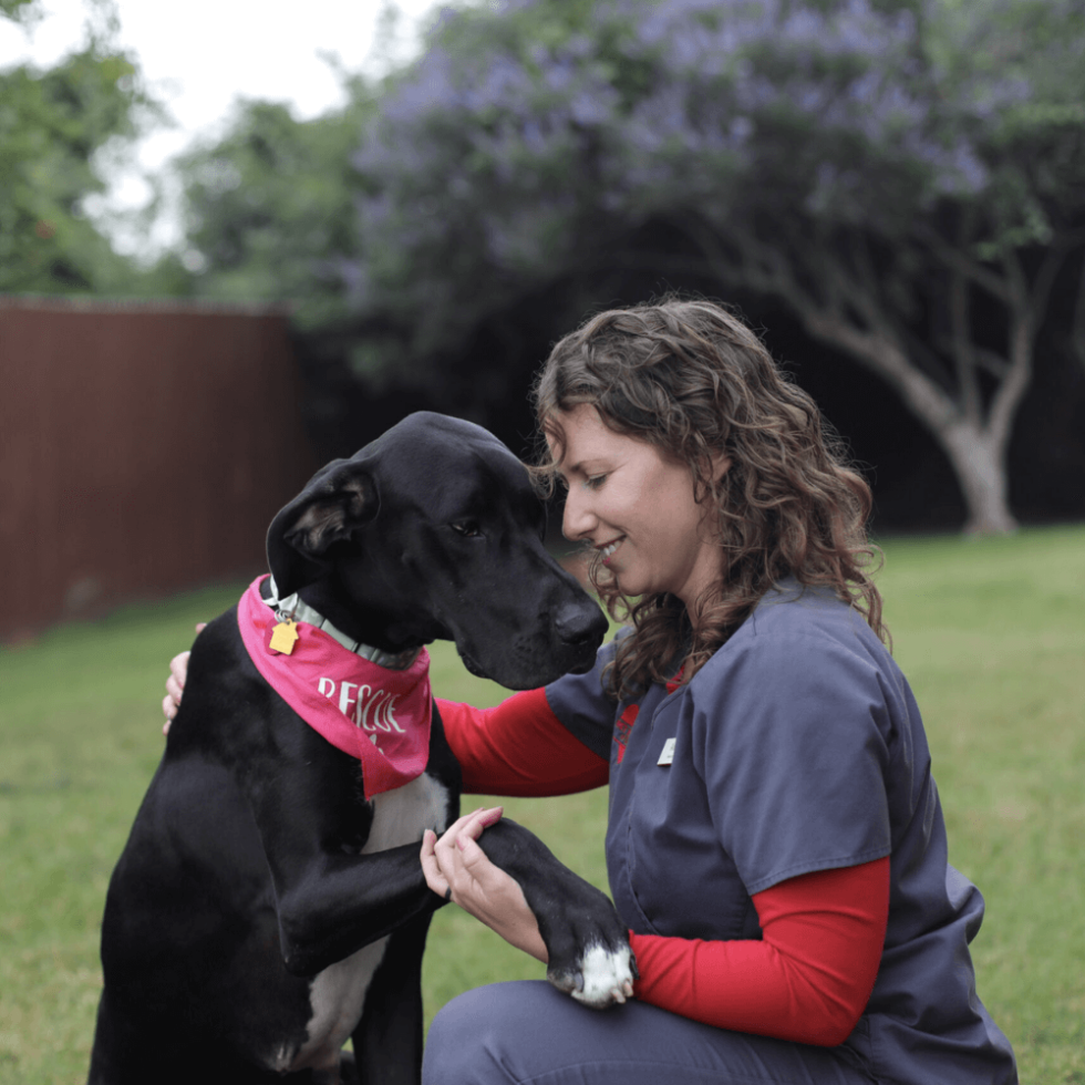 Best Vet Hospital In Granbury, TX | Pet Hospital Of Granbury