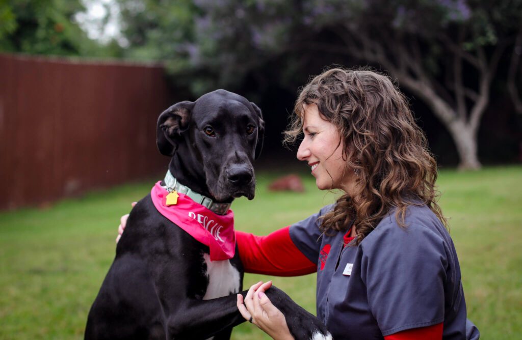 Granbury, TX Veterinary Services | Pet Hospital Of Granbury